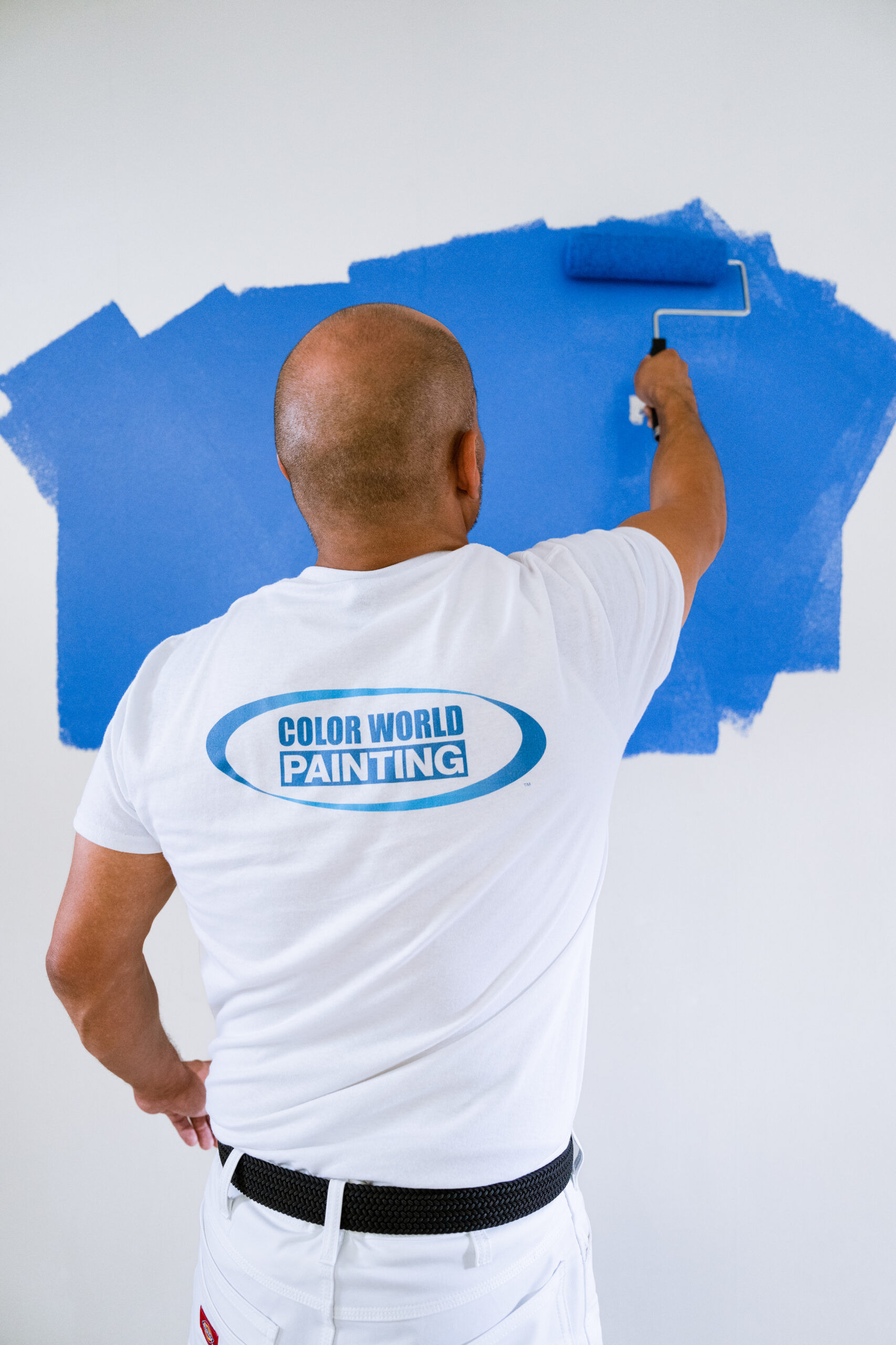 About - Color World Innovation